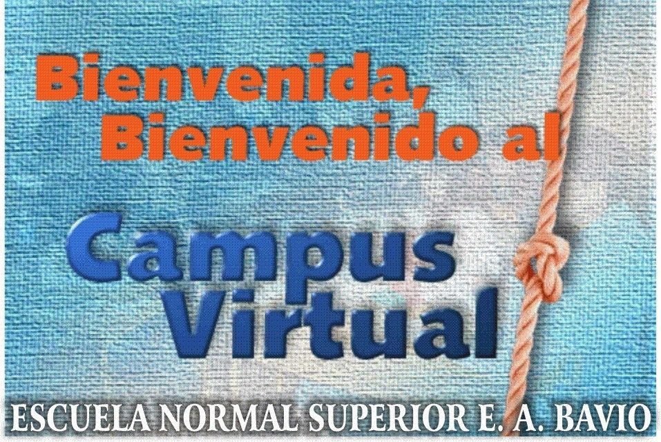 Escuela Normal Superior en Lenguas Vivas "Ernesto A. Bavio" [Validación ...
